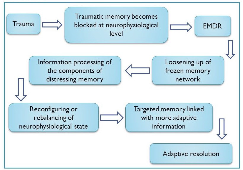Adaptive Information Processing – EMDR THERAPY BOISE