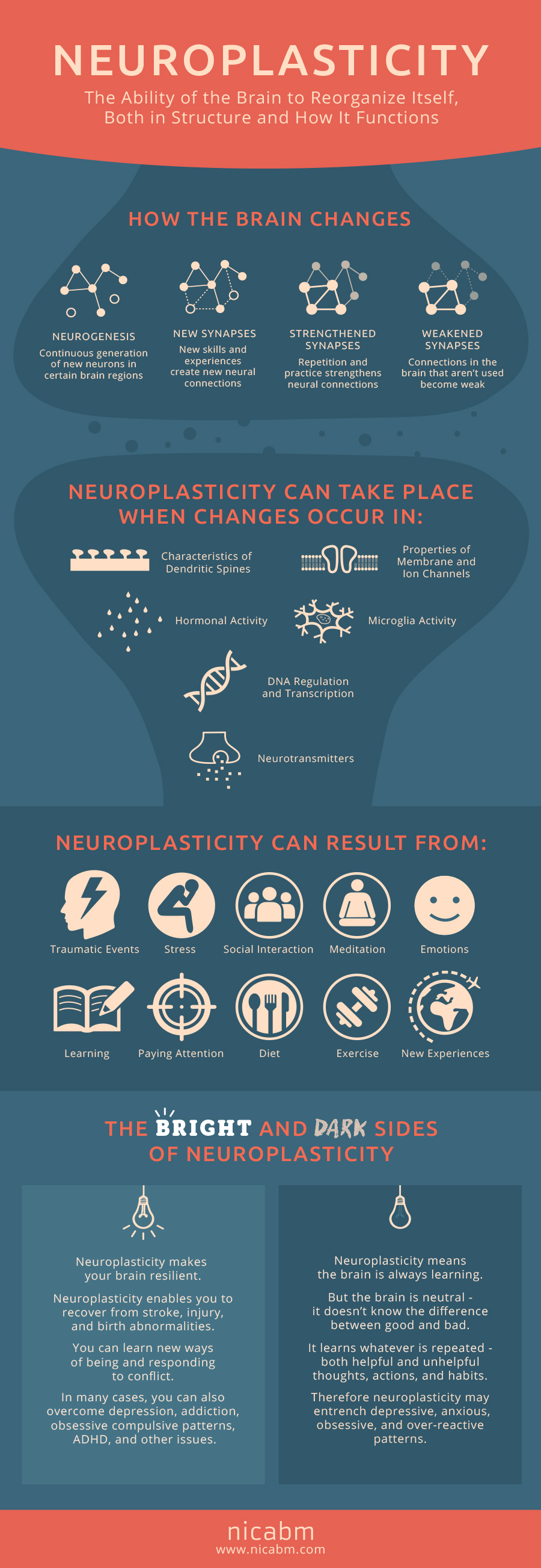 Neuroplasticity – EMDR THERAPY BOISE